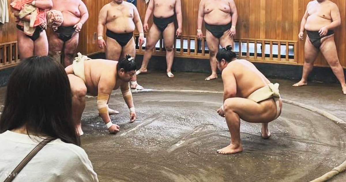 Tokyo: Sumo Morning Practice Viewing Tour at a Real Stable - Klook Australia